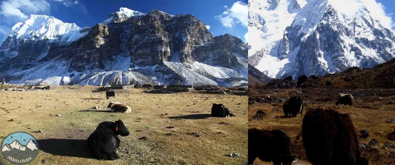 Adventure Kanchenjunga Conservation Area Is 1 Of The Most Visited ...