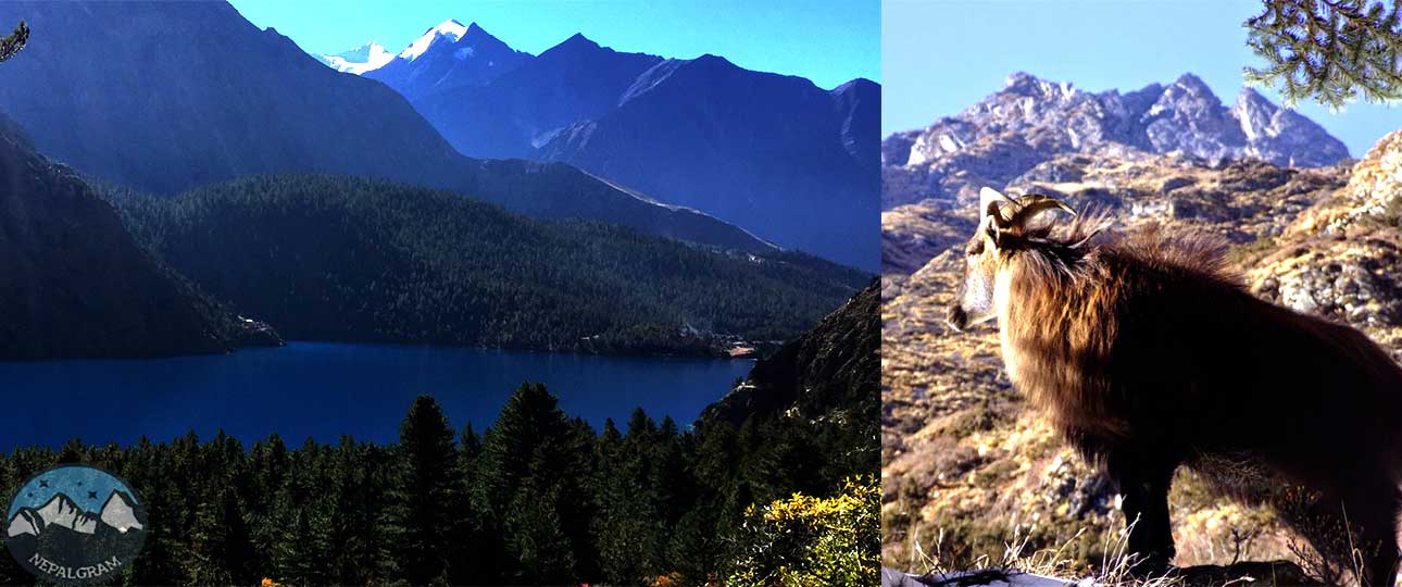 Shey Phoksundo National Park Is Most No. 1 Visited Protected Adventure ...