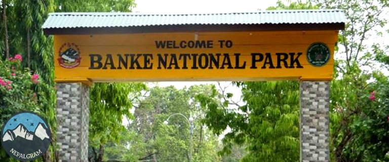 Banke National Park Is 1 Of The Most Beautiful National Park Of Nepal.