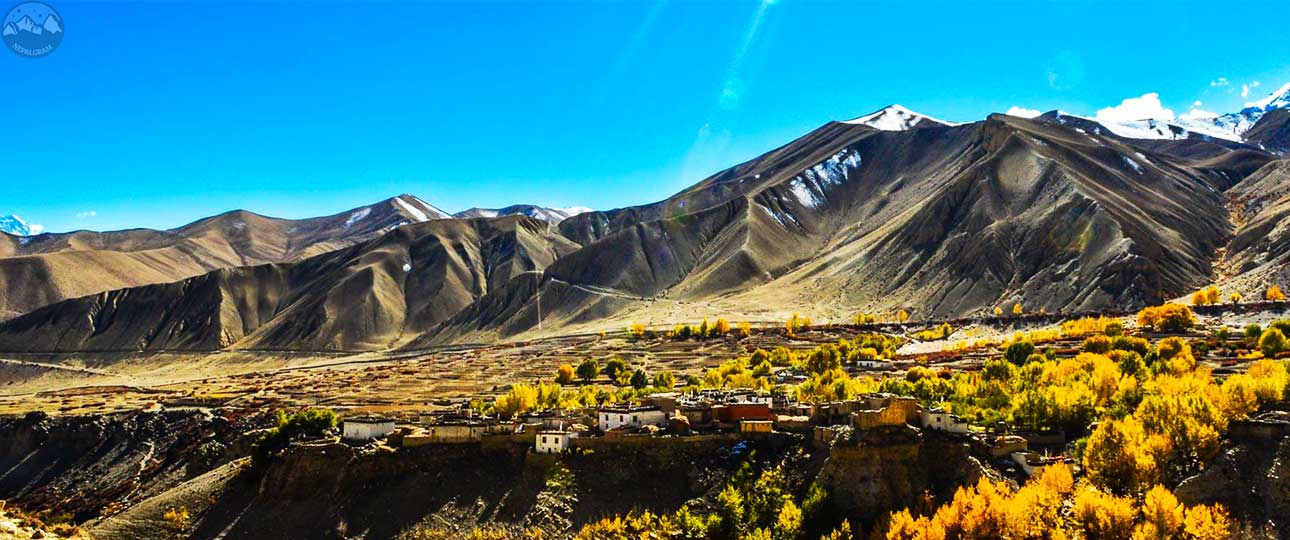 Lower Mustang Non-restricted Trekking